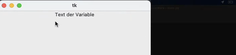 Tkinter StringVar und weitere wichtige Variablen [mit Video]