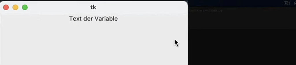 Tkinter StringVar und weitere wichtige Variablen [mit Video]
